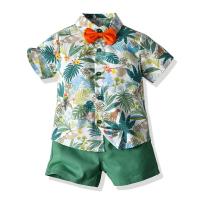 China Short Sleeved Children's Outfit Sets Summer Shorts Cotton Kids Clothing for sale
