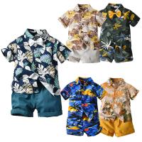 China Short Sleeved Children's Outfit Sets Summer Shorts Cotton Kids Clothing for sale