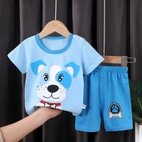 China 100% Cotton Summer Children's Outfit Sets Short Sleeve T-shirt Set for sale