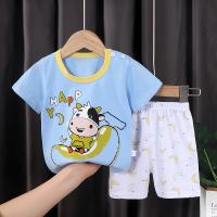 China 100% Cotton Summer Children's Outfit Sets Short Sleeve T-shirt Set for sale