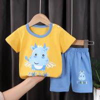 China 100% Cotton Summer Children's Outfit Sets Short Sleeve T-shirt Set for sale