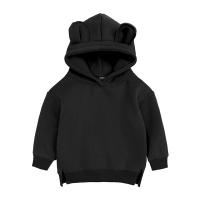 China Boys Girl Fleece Hoodie Sweatshirt Custom Printing Baby Boys Kids Pull Over Hoodies for sale