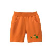 China Summer 8Y-9Y New Children'S Boy Sports Shorts 17.7 In for sale