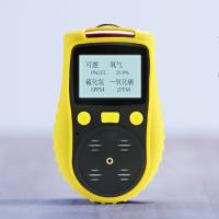 China Portable CH4 Methane Gas Detector 0-100% LEL Explosion Proof IP66 with 2300mAh Battery for sale