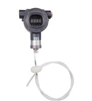 China Explosion Proof Gas Detector IECEX ATEX CE Digital Sensor Fixed H2S Detector for sale