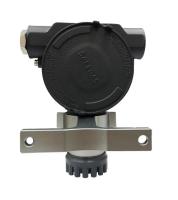 China Safegas SG100 Fixed Gas Detector IP66 IP68 H2 CL2 Multiple Gas Monitor 4-20mA RS485 for sale