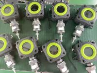 China Pump-Type Fixed H2 Detector Color Display IECEX explosion proof certificated for industrial use optional alarm function for sale