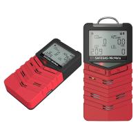 China IP68 Dustproof Multi-Gas Detector LEL CO 0-1000PPM with Bluetooth 1000 Data Records for sale