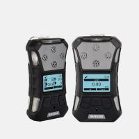 China SKY3000 Pumping Gas Detector for NOx 0-250 ppm Electrochemical Sensor ATEX IECEx Certified for sale