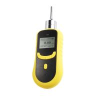 China SKY2000 Portable Pumping CO Gas Detector with IP66 Protection and Optional Data Logging for sale