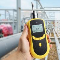 China Industrial Portable NH3 Ammonia Gas Detector 0-1000PPM Explosion Proof Ex ia IIC T4 Ga for sale