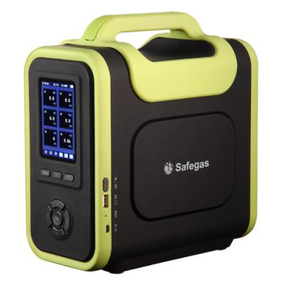 China 18-Gas Portable Analyzer with Color Screen - Modular Design for CH4 CO2 N2 H2 Detection up to 32GB Storage for sale