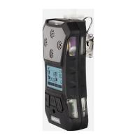 China IECEX ATEX Certified SKY3000-M4 Handheld Multi-Gas Detector for LEL O2 H2S CO with 15+ Hour Battery Life for sale