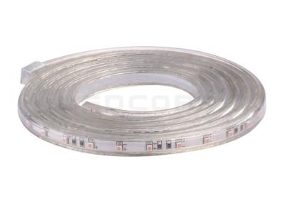 China High Brightness 2835 60 LED Strip Light 110V 220V IP67 Waterproof Outdoor for sale