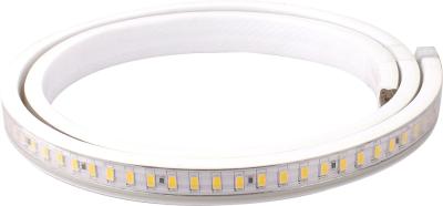 China 5730 120 LEDs High Voltage LED Strip Light 14W per Meter Decorative House Lighting for sale