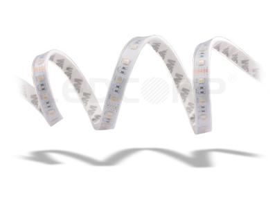 China 19.2W 5050 RGBW LED Strip Light 60 LEDs/m 12V 24V IP20 IP65 5m Reel for sale