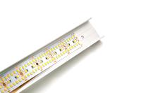 China High Power 2835 LED Strip 420 LEDs/m 40W/m with Aluminum Profile for Linear Lighting for sale