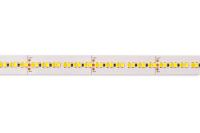 China Twin Color LED Strip 2835 240 LEDs/m High Lumen 12V 24V Flexible Light for Cove and Architectural Lighting for sale