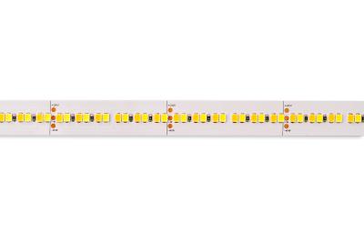 China Twin Color LED Strip 2835 240 LEDs/m High Lumen 12V 24V Flexible Light for Cove and Architectural Lighting for sale