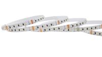 China Waterproof 8mm RGB LED Strip 120LEDs/m 2835 24V for Architectural Decorative Lighting for sale