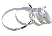 China LEDCORP 2835+2110 RGBW 240LEDs/m 10mm LED Strip for Amusement Park and Theater Lighting for sale