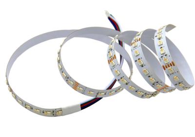 China LEDCORP 2835+2110 RGBW 240LEDs/m 10mm LED Strip for Amusement Park and Theater Lighting for sale