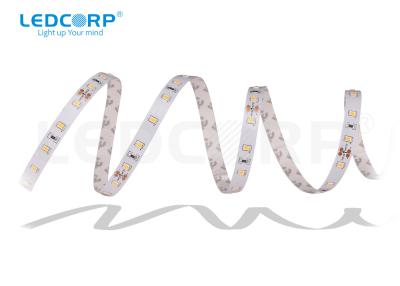 China High Efficacy LED Strip 8W/m 1600lm/m 2835SMD IP20-IP68 5 Year Warranty for sale