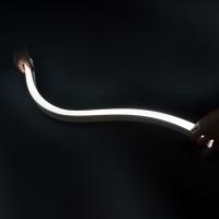 China LEDCORP Neon Flex Side Bend Pro 360° DC24V IP67 5M Roll Silicone LED Strip Light for sale