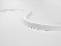 China LEDCORP DC24V LED Neon Flex Pro 5M Roll IP67 Silicone 30000Hrs OEM for sale