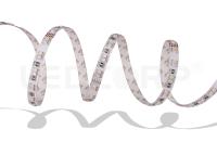 China 3527 120 LEDs RGBW Flexible Strip Light 12V 24V 5m Reel 2in1 SMD with Controller for sale