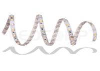 China 5050 SMD 15.6W Twin White RGB LED Strip Light 72 LEDs/m 12V 5m Roll CE RoHS for sale