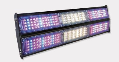 China LED Grow Lights 600W Full Spectrum Horticulture LED for Indoor Plant Growing for sale