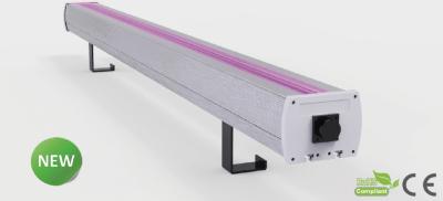China LED Grow Lights 1000W Full Spectrum Horticulture LED for Indoor Plant Growing for sale