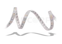 China 5050 RGBW LED Strip Lights 60 LEDs/m 24V Waterproof IP65 Flexible Tape Light for sale