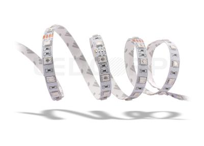 China 14.4W 60 LED 5050 RGB LED Strip Lights 12V 120 Degree Beam Angle IP20 5m for sale