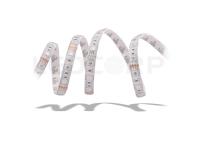 China 14.4W 60 LED 5050 RGB LED Strip Lights 12V 120 Degree Beam Angle IP20 5m for sale