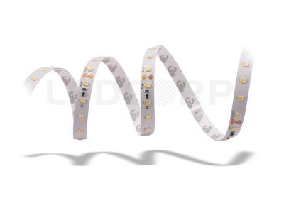 China 13W 2835 SMD LED Strip Light 60 LEDs/m 4.8W/m High Lumen UL CE ROHS Ra85 for sale