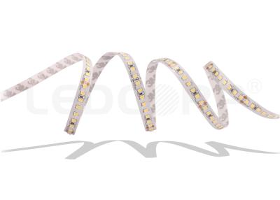 China High Efficacy LED Strip 2835 160LEDs/m 24V 165LM/W RA90 IP68 5M Roll for sale
