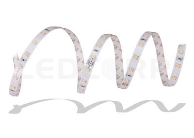China High CRI 98 Full Spectrum LED Strip 10W 24V IP68 Natural White for sale