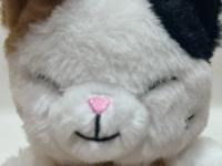 China Talking Calico Cat Plush Toy Repeats What You Say Electronic Stuffed Animal for Kids Gift 2 Second Response for sale