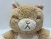 China Talking Plush Cat Toy Repeats What You Say Interactive Animated Gift for Toddlers 30cm for sale