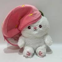 China 25cm 10