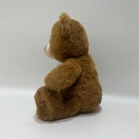 China Musical Teddy Bear Plush Toy with Light Up Soother for Baby Stroller 30cm for sale