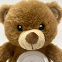 China Musical Teddy Bear Plush Toy with Light Up Soother for Baby Stroller 30cm for sale