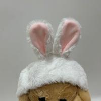 China 28CM Plush Toy Puppy in White Bunny Costume - 20CM Size with Custom Colors and US/EU/Canada Safety Compliance for sale