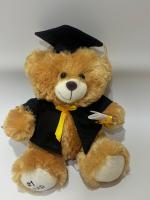 China Graduation Bear Plush Toy Stuffed Doll Baby Comfort Doll 30cm 100% PP Cotton for sale