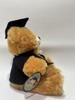 China Graduation Bear Plush Toy Stuffed Doll Baby Comfort Doll 30cm 100% PP Cotton for sale