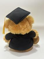 China Graduation Bear Plush Toy Stuffed Doll Baby Comfort Doll 30cm 100% PP Cotton for sale