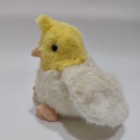 China 5 Assorted Plush Parrot Toys Colorful Soft Stuffed Birds Collection for sale