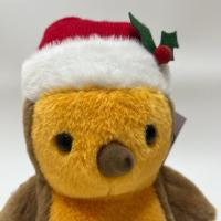 China Fun and Engaging Musical Robin Bird Toy for Kids and Adults for sale